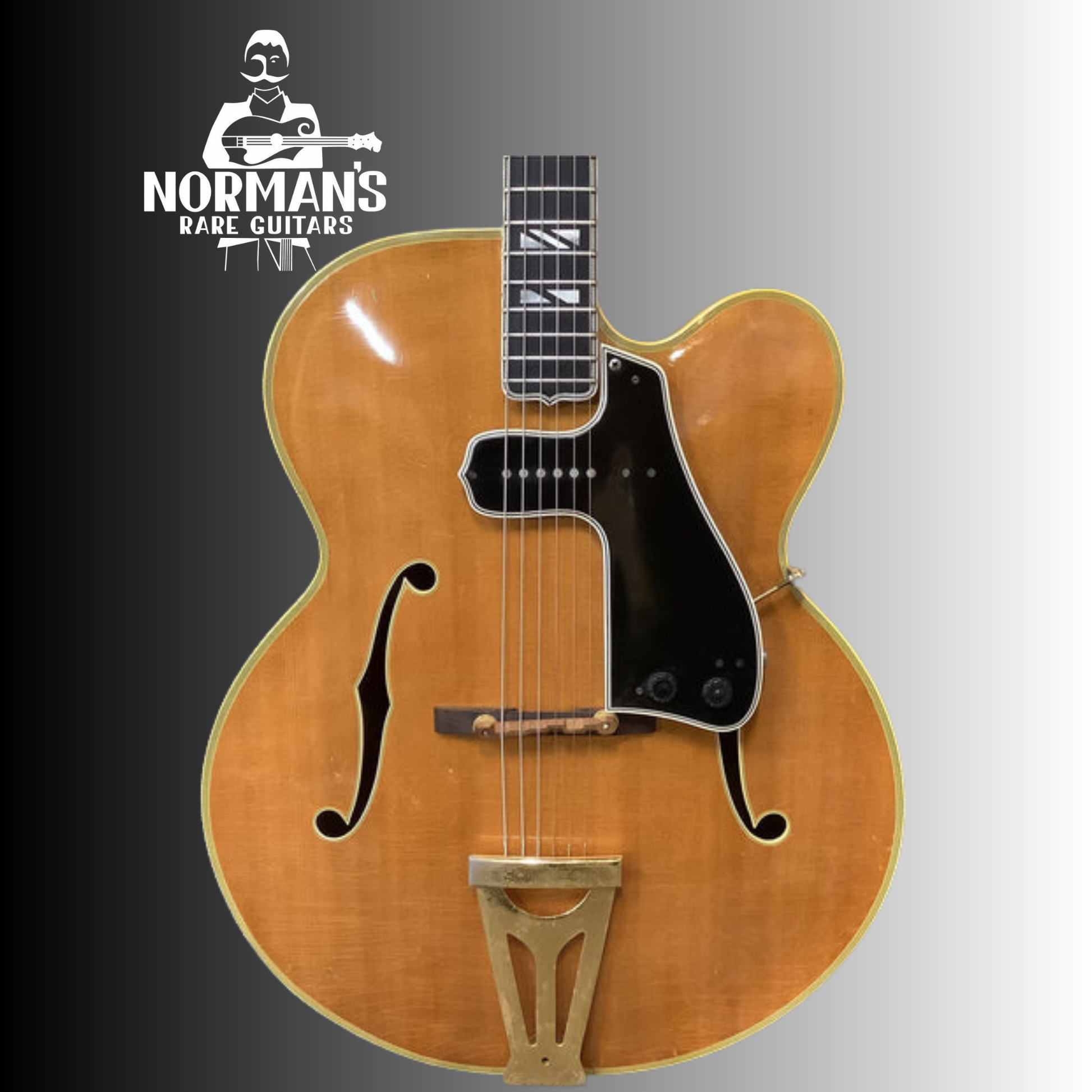 Electric Secret Stash – Norman's Rare Guitars